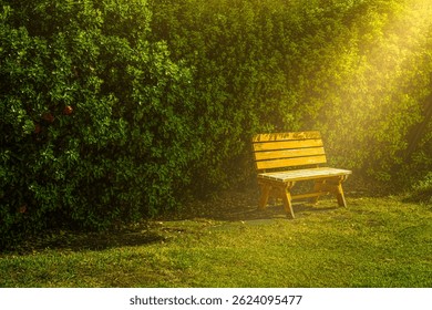 Vue sur le jardin avec une flore luxuriante et une clôture lointaine au ...