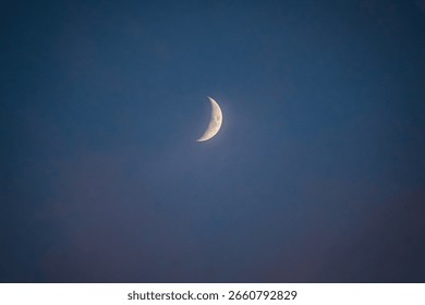 15) Arabian Nights of Shadows: Golden Dunes, Crescent Moon Spirits, and ...
