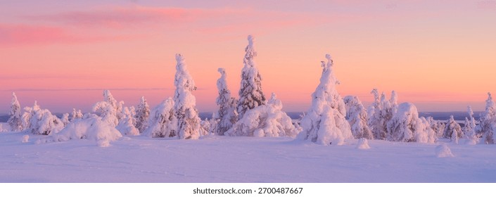 Alpenglow on Snow Capped Himalayan Mountain Peaks at Sunset HD ...