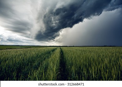 Dark Clouds over Field 2K wallpaper download