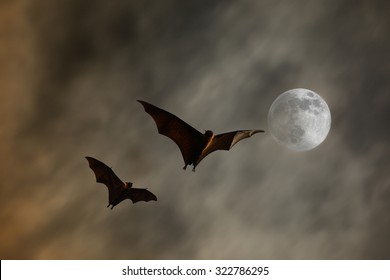 Batman Moon Night 4K wallpaper download