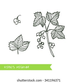 Riba Logo Vector (.EPS) Free Download