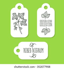 Riba Logo Vector (.EPS) Free Download