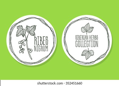 Riba Logo Vector (.EPS) Free Download