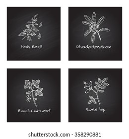 Riba Logo Vector (.EPS) Free Download