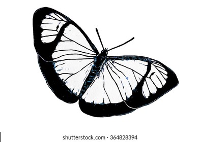 Search: microsoft butterfly Logo Vectors Free Download