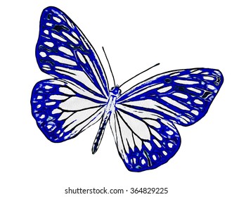 Search: microsoft butterfly Logo Vectors Free Download