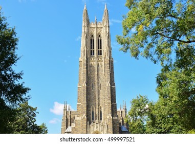 University of Durham Logo Vector (.EPS) Free Download