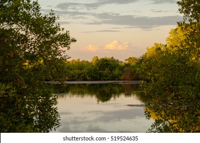 Autumn tree near a small pond HD wallpaper download