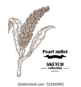 Millet Logo Vector (.CDR) Free Download
