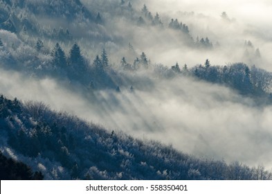 Winter is coming 4K wallpaper download