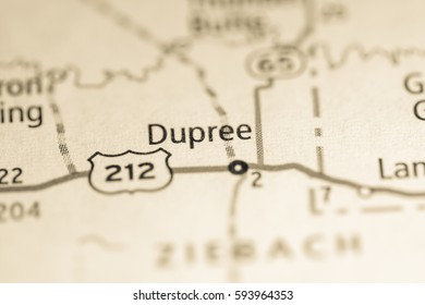 Dupree Logo Vector (.CDR) Free Download