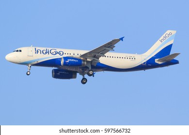 IndiGo airlines Logo Vector (.EPS) Free Download