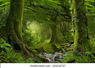 Beautiful Forest Landscape 2K wallpaper download