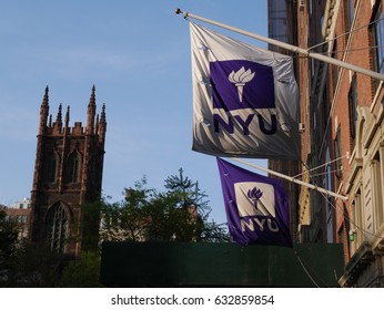 NYU Logo Vector (.AI) Free Download
