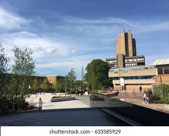 University of Leicester Logo Vector (.EPS) Free Download