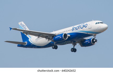 IndiGo airlines Logo Vector (.EPS) Free Download