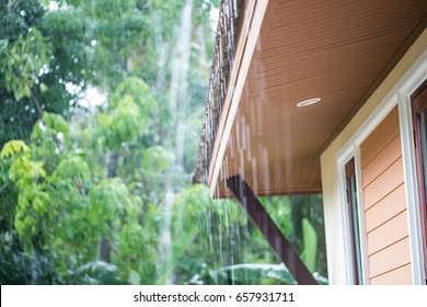 Tree House | Summer Rain HD wallpaper download