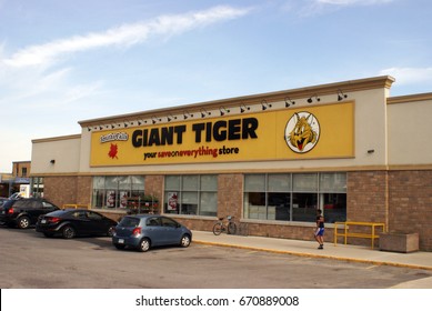Giant Tiger Logo Vector (.EPS) Free Download