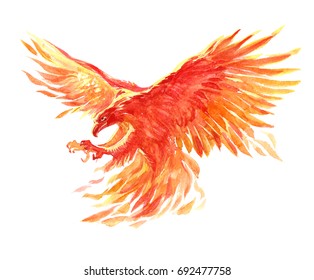 Firehawk Logo Vectors Free Download