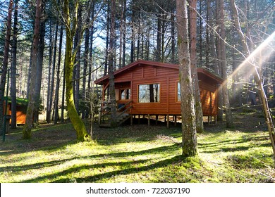 Secluded Rustic Wood Cabins in a Forested Mountain Valley premium 2K ...
