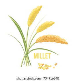 Millet Logo Vector (.CDR) Free Download