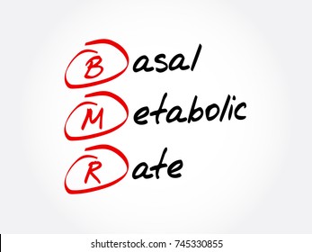 BMR Logo Vector (.EPS) Free Download