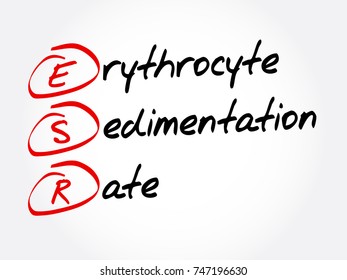 ESR Logo Vector (.EPS) Free Download