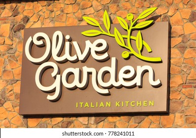 Olive Garden Logo Vector (.AI) Free Download