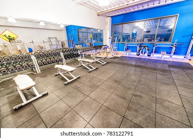 Technogym Logo Vector (.AI) Free Download