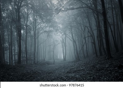 Waterfalls inside dark forest 4K wallpaper download