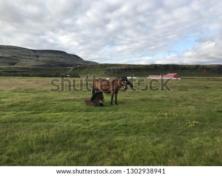 STOCKY-BUILD Stock Photos and Images - Avopix.com