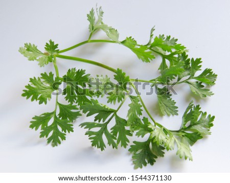 ACRID-SMELL Stock Photos and Images - Avopix.com