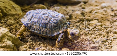 PADLOPER Stock Photos and Images - Avopix.com