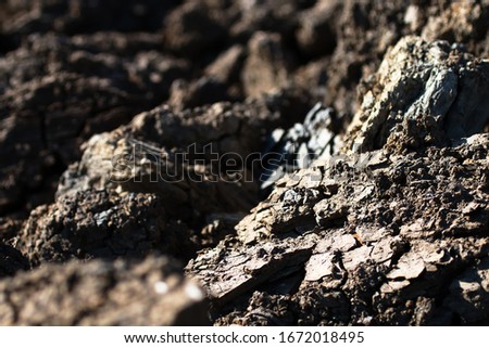 HEAVY-TEXTURED-SOIL Stock Photos and Images - Avopix.com