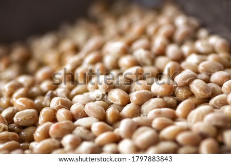 BACILLUS-SUBTILIS-VAR-NATTO Stock Photos and Images - Avopix.com