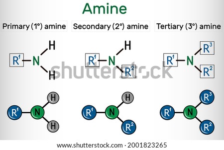 AMINE-GROUP Stock Vector Images - Avopix.com