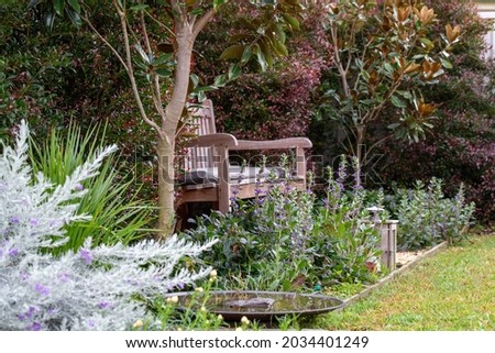 AUSTRALIAN-NATIVE-COTTAGE-GARDEN Stock Photos and Images - Avopix.com