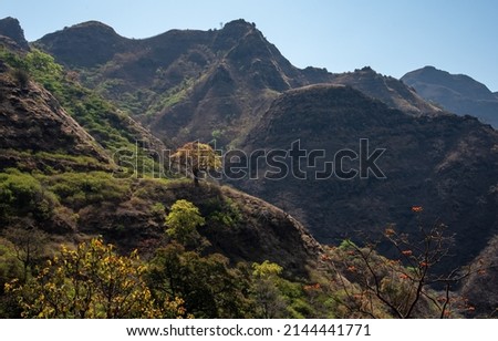 VINDHYA Stock Photos and Images - Avopix.com