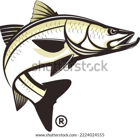 SNOOK-FISH Stock Vector Images - Avopix.com