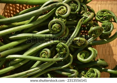 LINGAD Stock Photos and Images - Avopix.com