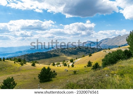 NATIONAL-TREE-OF-ITALY Stock Photos and Images - Avopix.com
