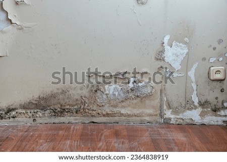 DAMP-ROOM Stock Photos and Images - Avopix.com