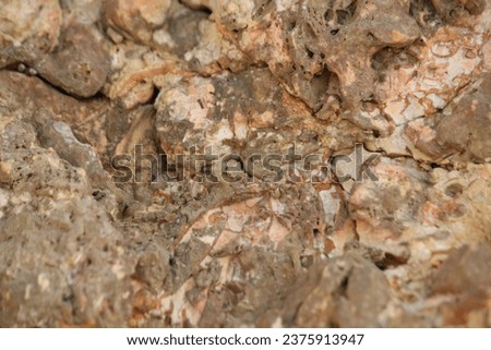 LUMPY-IN-TEXTURE Stock Photos and Images - Avopix.com