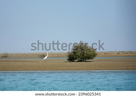 GEART Stock Photos and Images - Avopix.com