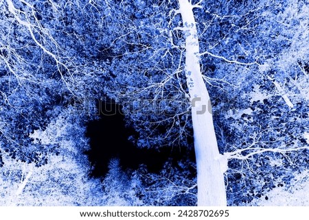 INVERTED-PHOTO Stock Photos and Images - Avopix.com