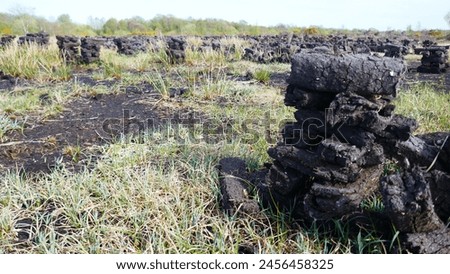 ACID-BOG Stock Photos and Images - Avopix.com