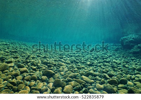 RIVER-BOTTOM Stock Photos and Images - Avopix.com