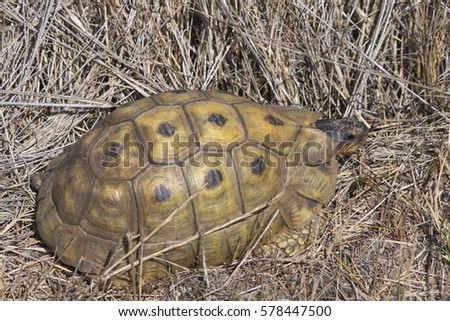 PADLOPER Stock Photos and Images - Avopix.com