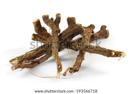 RADIX-ROOT Stock Photos and Images - Avopix.com